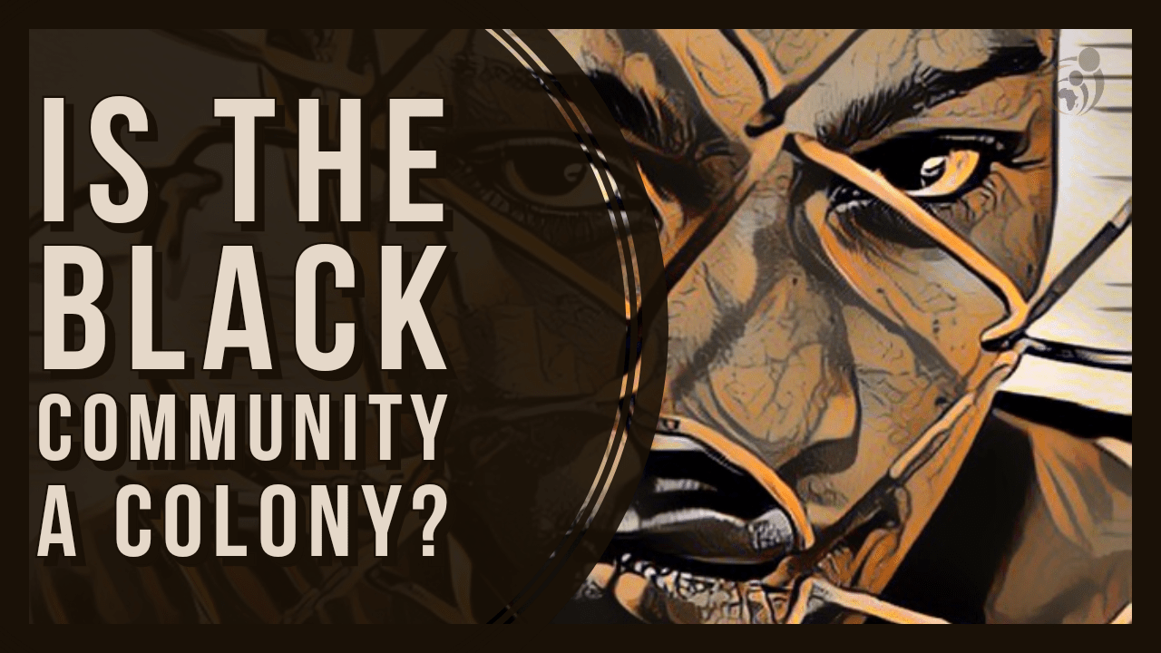 Is the Black Community an Internal Colony? | African Elements